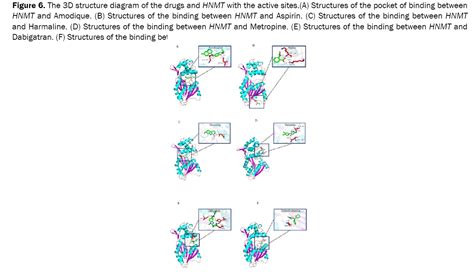 Integrated Transcriptome Wide Profiling And Protein Structure Analysis Of Pathogenic Genes In