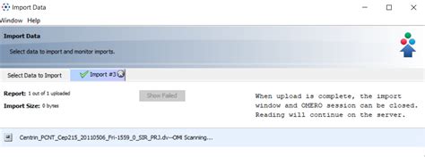 Fiji Windows Import Image · Issue 206 · Omeomero Insight · Github