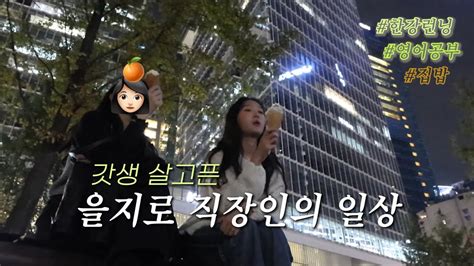 Vlog 갓생 살고픈 외국계 직장인 브이로그 한강가서 혼자 런닝하고 책 읽기 집밥 해먹기 영어공부 힙지로 직장인