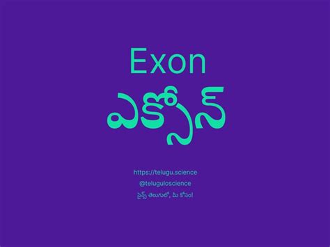 ఎక్సోన్ గురించి వివరణ Exon