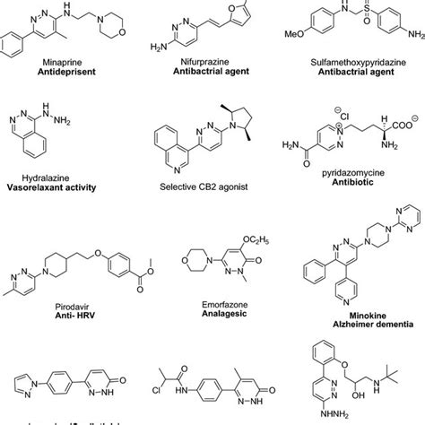 Some Biologically Active Pyridazine Derivatives And Their Application Download Scientific Diagram