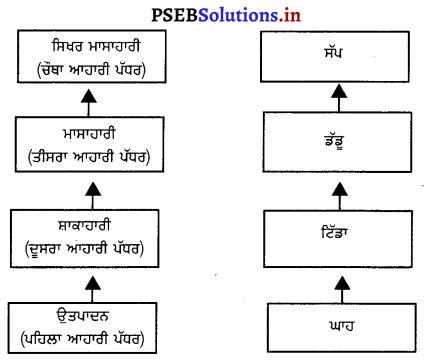 PSEB 10th Class Science Solutions Chapter 15 ਸਡ ਵਤਵਰਨ PSEB Solutions