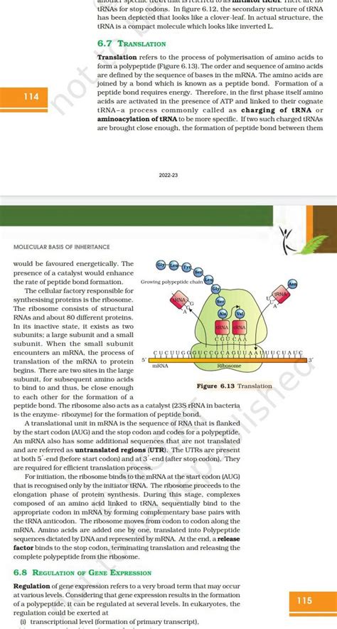 Trnas For Stop Codons In Figure 6 12 The Secondary Structure Of Trna Ha