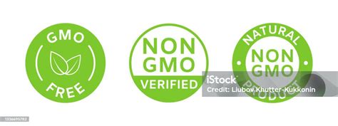 비 Gmo 라벨 Gmo 무료 아이콘 건강한 식품 개념 유기농 화장품 태그 제품 패키지에 대한 Gmo 설계 요소가 없습니다 에코 비건 바이오 뷰티 제품 지속 가능한 삶 벡터