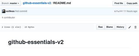The Raw Blame And History Buttons Github Essentials Book