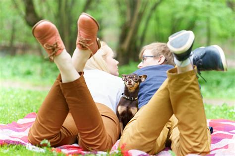 그들 사이에 작은 개와 젊은 매력적인 유럽 부부는 따뜻한 화창한 날에 일부 여름 공원에서 담요에 휴식을 받고있다 2명에 대한 스톡 사진 및 기타 이미지 Istock