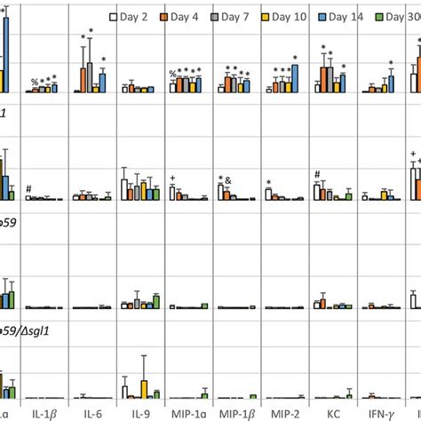 Measurement Of CSF Opening Pressure Using Manometer Download Scientific Diagram