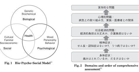 松下 ER ランチカンファレンス 生物心理社会モデル Bio Psycho Social BPS model