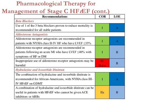 Chf Guidelines 2013seminar
