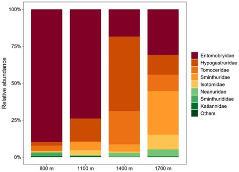 Relative Abundance Of Canopy Collembola Families At Four Elevations On