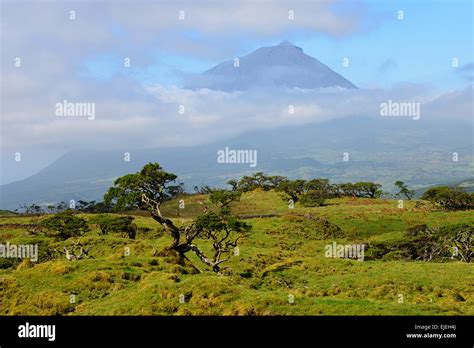 Pico Berg Fotos Und Bildmaterial In Hoher Auflösung Alamy