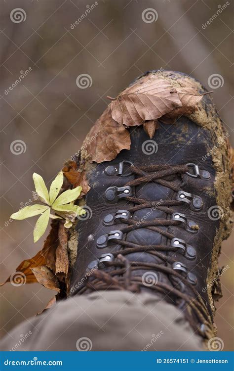Dirty Hiking Boot Stock Image Image Of Shoe Fall Detail 26574151