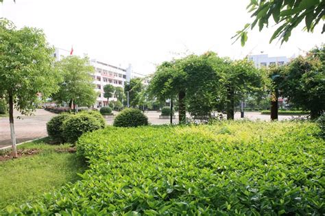 赣县北校区赣州市赣县区大山谷图库