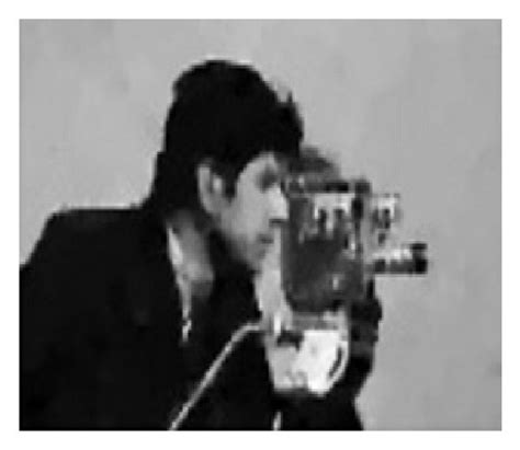 a noisy input data mssim 0 327 b solution driven adaptive tv download scientific