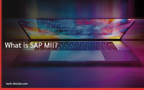 What Is Sap Mii