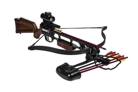 Crossbow Vs Compound Bow Whats The Difference