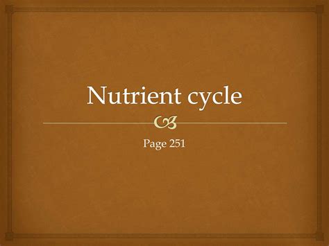 Solution Nutrient Cycle Studypool