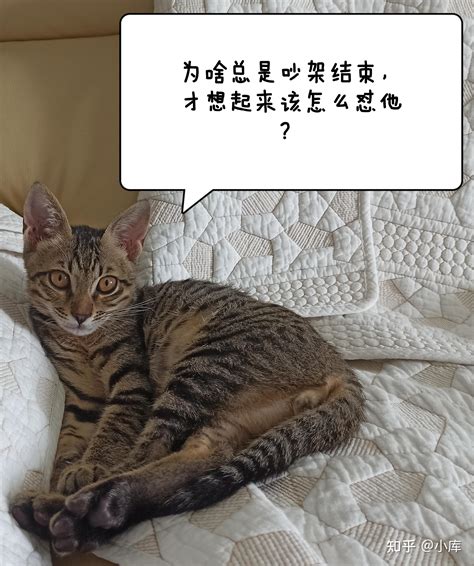 见过药企里骂架，才明白气势输赢没那么重要 知乎