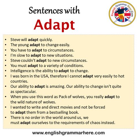 What Are 2 Synonyms For Adapt At Beth Meeks Blog