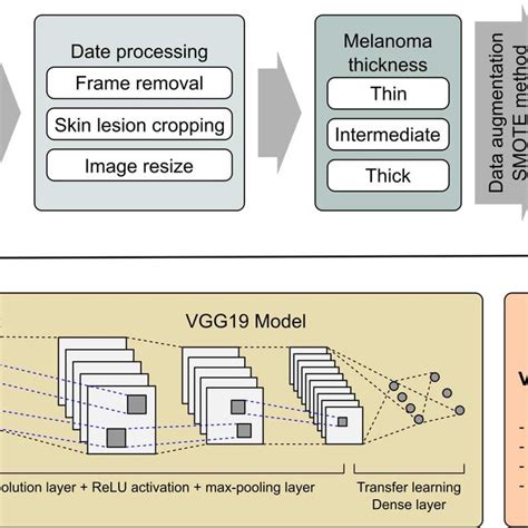 Melanoma Thickness Prediction Diagram Including Following Steps Data Download Scientific