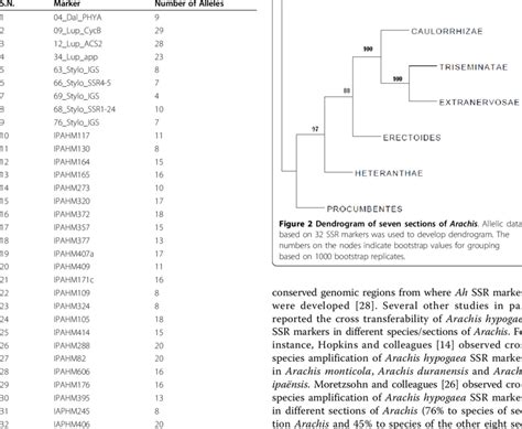 list of ssr markers used for cluster analysis download table