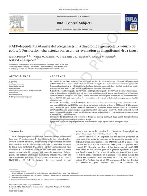 Pdf Nadp Dependent Glutamate Dehydrogenases In A Dimorphic Zygomycete
