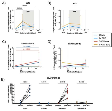 T Cell Response In Pbmc After Bcg Vaccination And Mtb Challenge A And B
