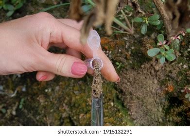 Thousand Soil Sample Royalty Free Images Stock Photos Pictures Shutterstock