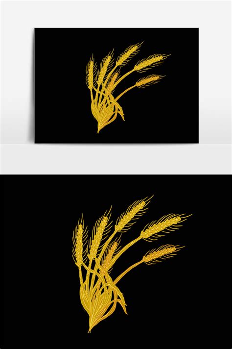 손으로 그린 황금 밀 귀 곡물 그림 일러스트 Png Psd 무료 다운로드 Pikbest