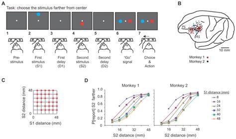 Task Recording Locations Distances Used And Discrimination Behavior Download Scientific