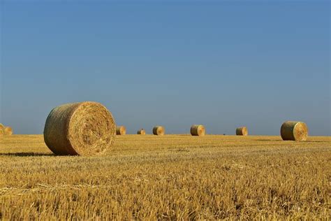 Upu Industries Shuts Down Their Junction City Operation Newsbreak