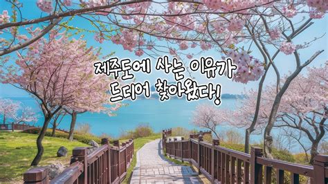 제주살이를 하는 이유가 드디어 찾아왔네요 L 제주도에 사는 도민들은 지금이 가장 행복할 때 Youtube