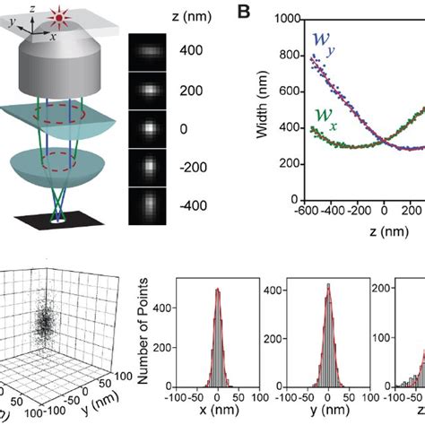 Pdf Three Dimensional Super Resolution Imaging By Stochastic Optical Reconstruction Microscopy