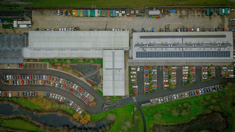 Our Vision Join Our Green Mission — Tree Associates Ltd