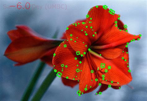 Feature Detection With Harris Corner Detector And Matching Images With Feature Descriptors In