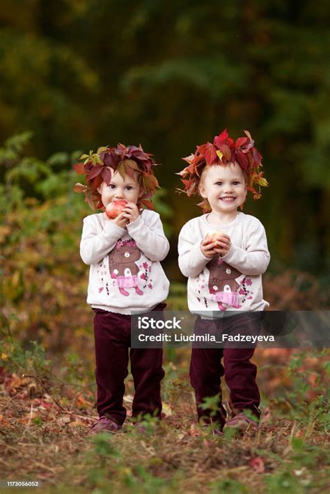 가을 정원에서 사과를 들고 아름다운 작은 쌍둥이 소녀 사과를 가지고 노는 어린 소녀 가을 수확에 과일을 먹는 유아 건강한 영양 어린이를위한 가을 활동 가족을위한 할로윈과