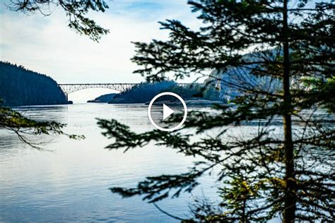 Revolutionizing Truth Seeking Tokyo University Of Science Advances Automated Deception