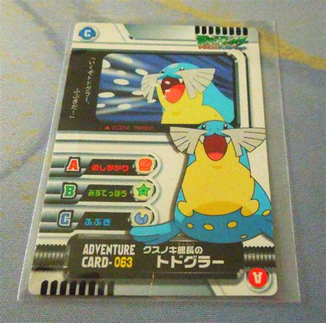 ポケモンアドバンスジェネレーション クスノキ館長のトドグラー 裏面トレーナー メルカリ