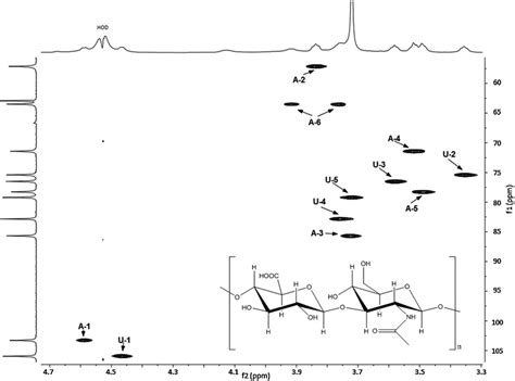 2d 1 H 13 C Hsqc Spectrum Of Fraction Di The 1d 1 H And 13 C Spectra