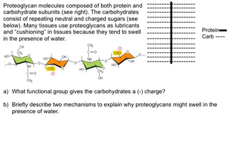 Solved Proteoglycan Molecules Composed Of Both Protein And