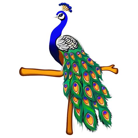 Download Stylized Peacock Drawing Png 78