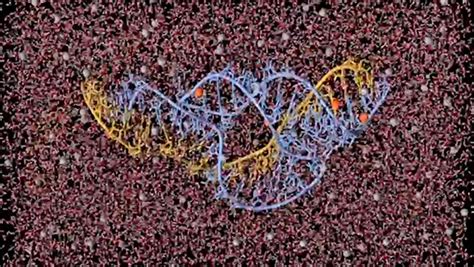 High Performance Computing HPC And AI NVIDIA