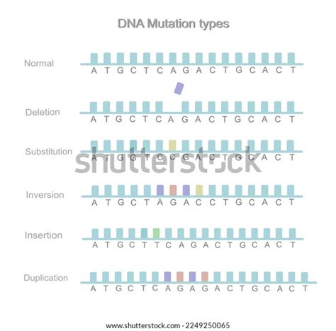 Substitution Mutation
