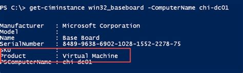 What Are You • The Lonely Administrator