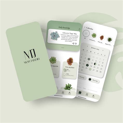 Доника Кънчева On Linkedin Uiuxdesign Uidesign Uxdesign Uiux