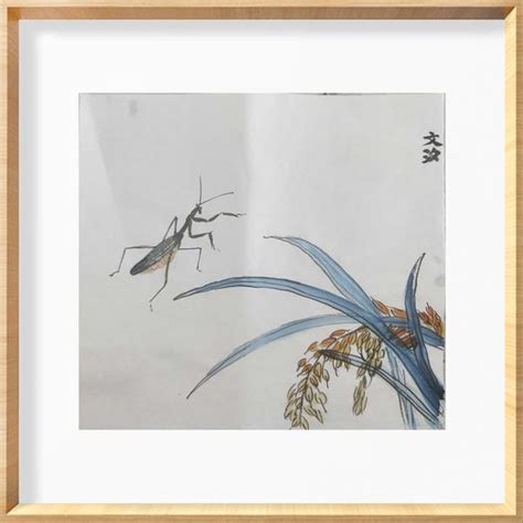 鸿都书画教育国画作品展示 知乎
