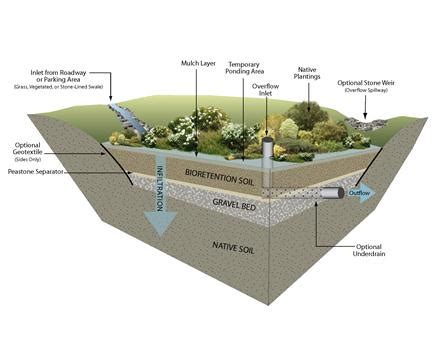 Image Of Bioretention Areas