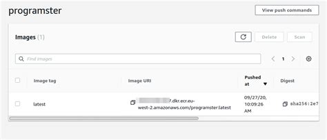 Getting Started With Aws Elastic Container Registry Programsters Blog