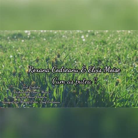 ‎roxana Codreanu Elvis Moise Cum As Putea Single By Iosif Codreanu On Apple Music