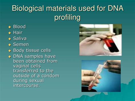 PPT DNA Profiling PowerPoint Presentation Free Download ID 228146